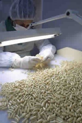 FERMENTO DE ARROZ VERMELHO PARA CONTROLE DO COLESTEROL - "MONALESS"